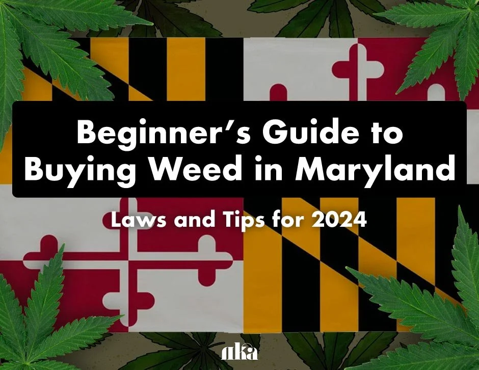 The Ultimate Beginner's Guide to Buying Weed in Maryland