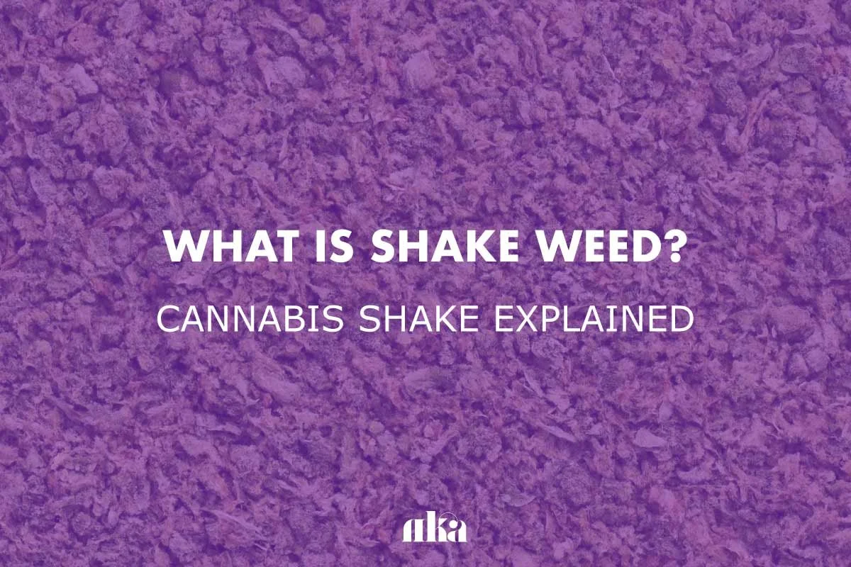 What is Shake Weed? Cannabis Shake Explained by Canna Center Dispensary